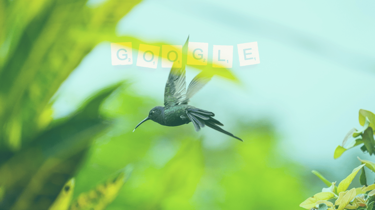 What’s the Purpose of Google’s Hummingbird Algorithm Update?